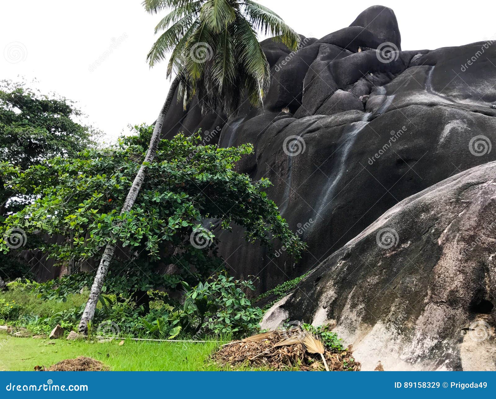 Grey rocks on a beach stock image. Image of outdoor, island - 89158329