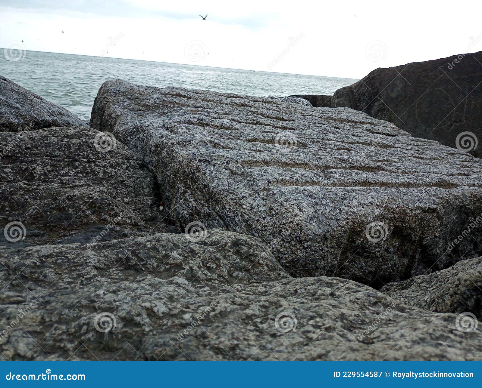 Grey Rocks Ocean Beach Water Stock Image - Image of rock, cliff: 229554587