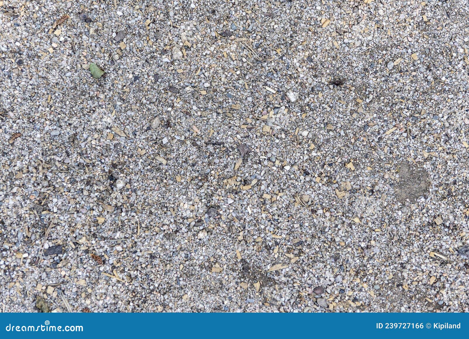Grey and Rough Ground of Cement Textured Stock Photo - Image of texture ...