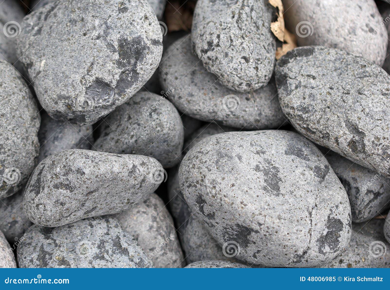 The Grey Round Stones Texture Macro Shot Stock Image - Image of surface ...