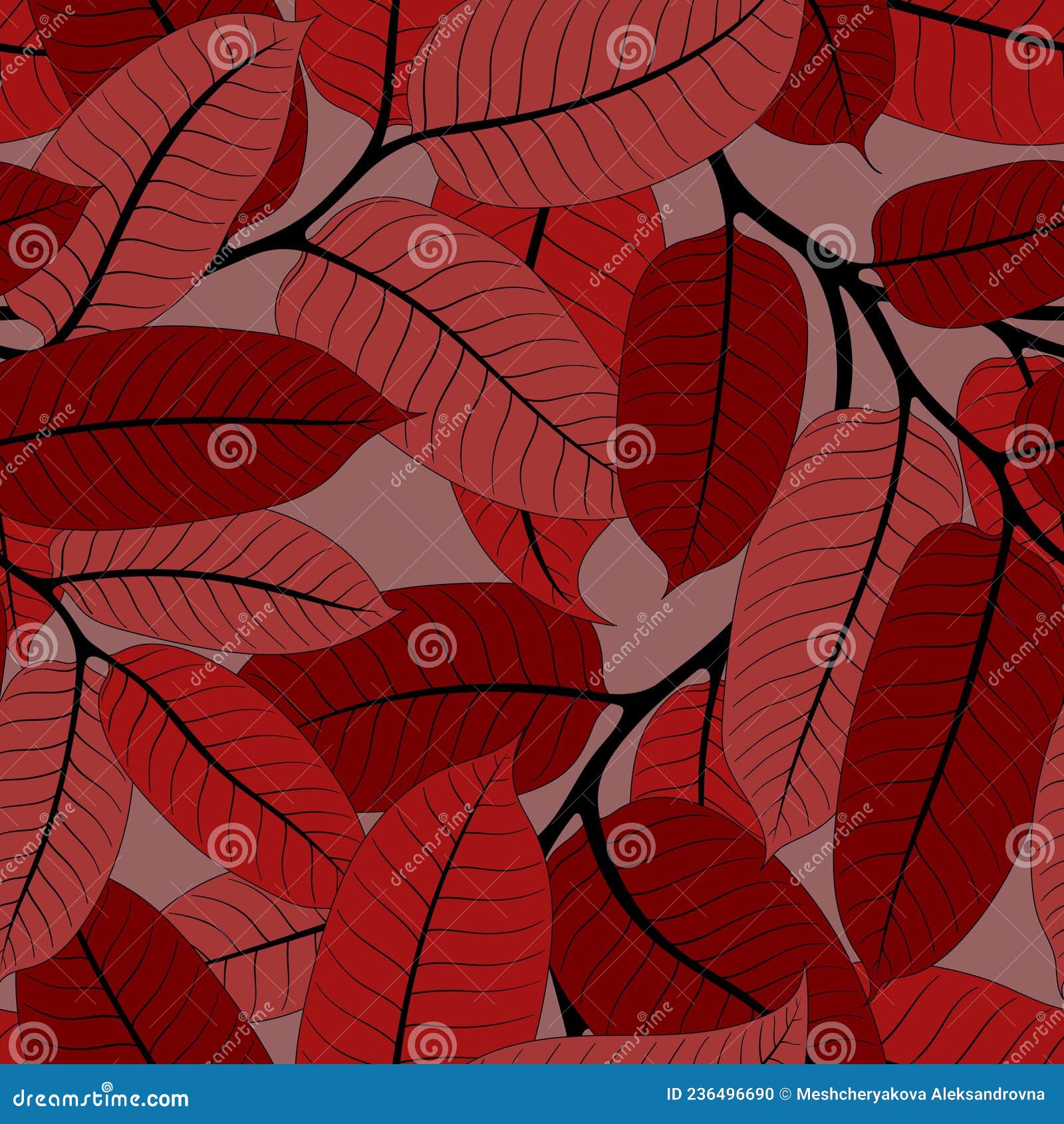 Virola Stock Illustrations – 17 Virola Stock Illustrations, Vectors ...