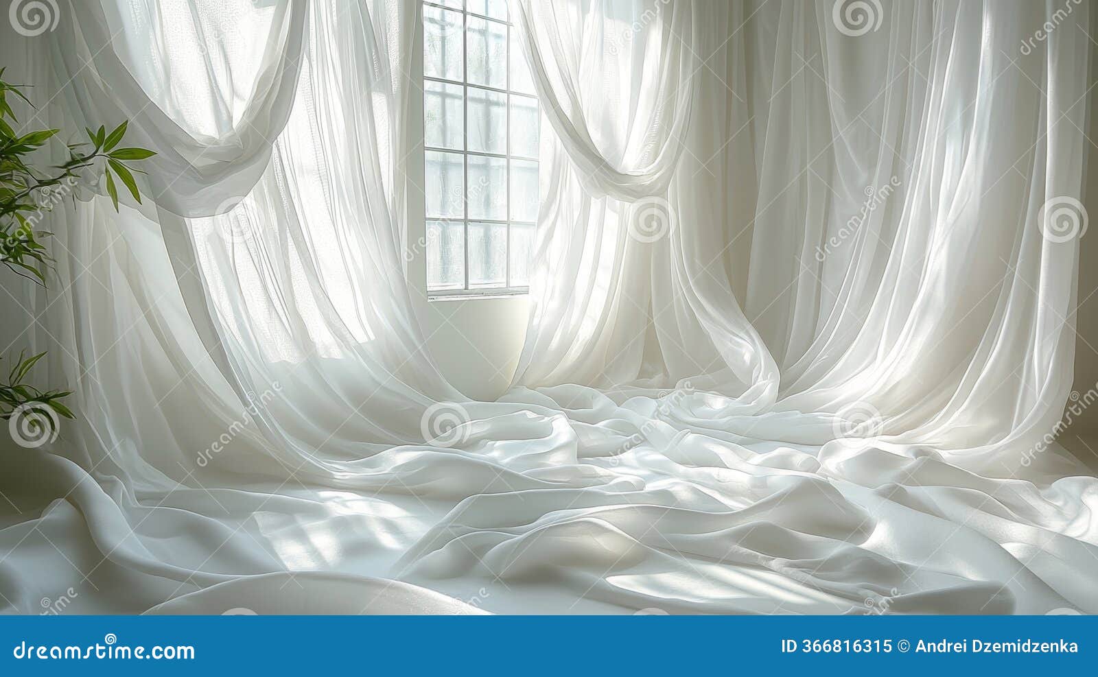 Shadow Studio Background White Grey Abstract Light Overlay Leaf On Wall ...