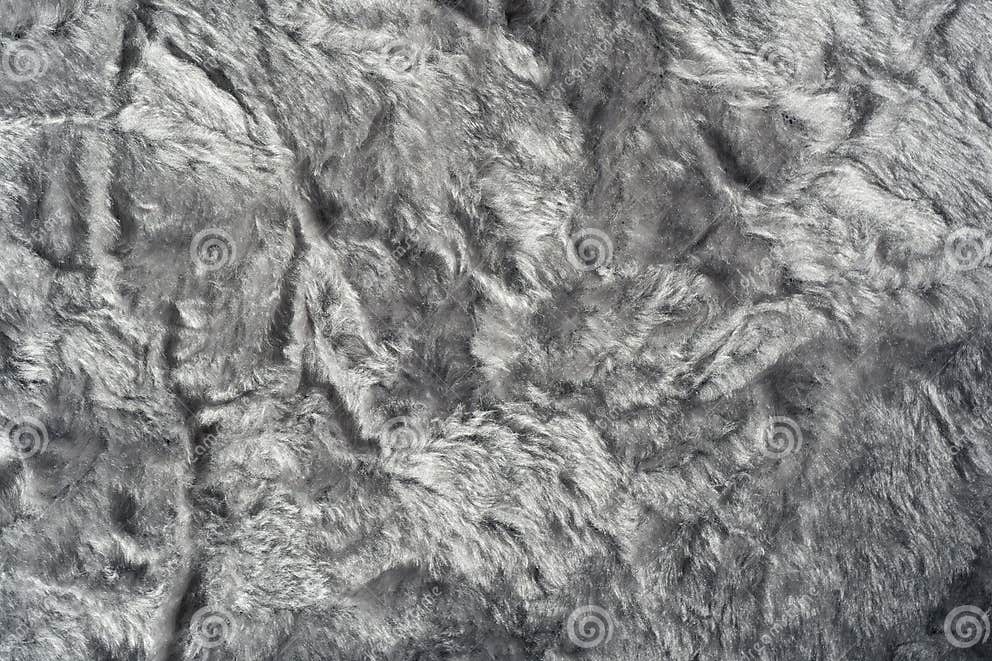 Grey Silver Fur Texture Background Stock Image - Image of protection ...