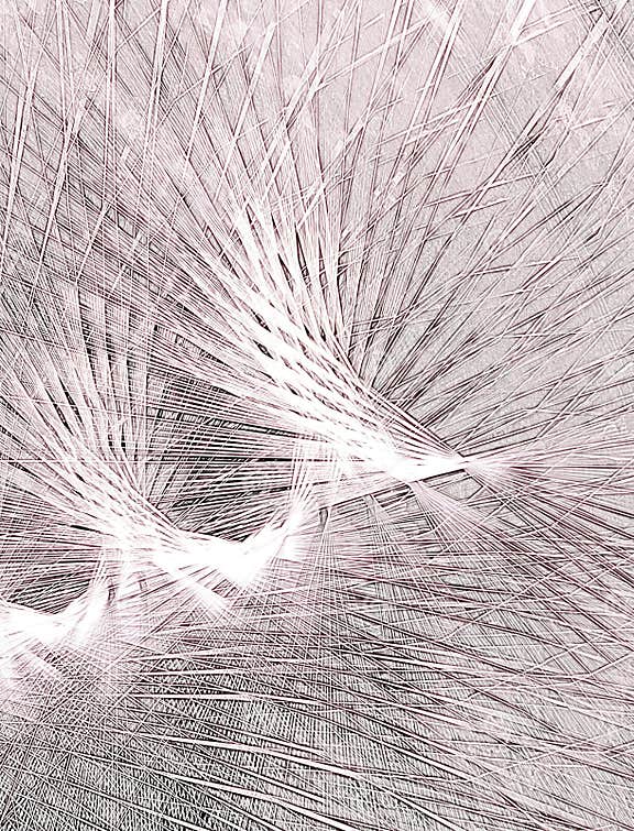 Grey sketch stock illustration. Illustration of backdrop - 4432852