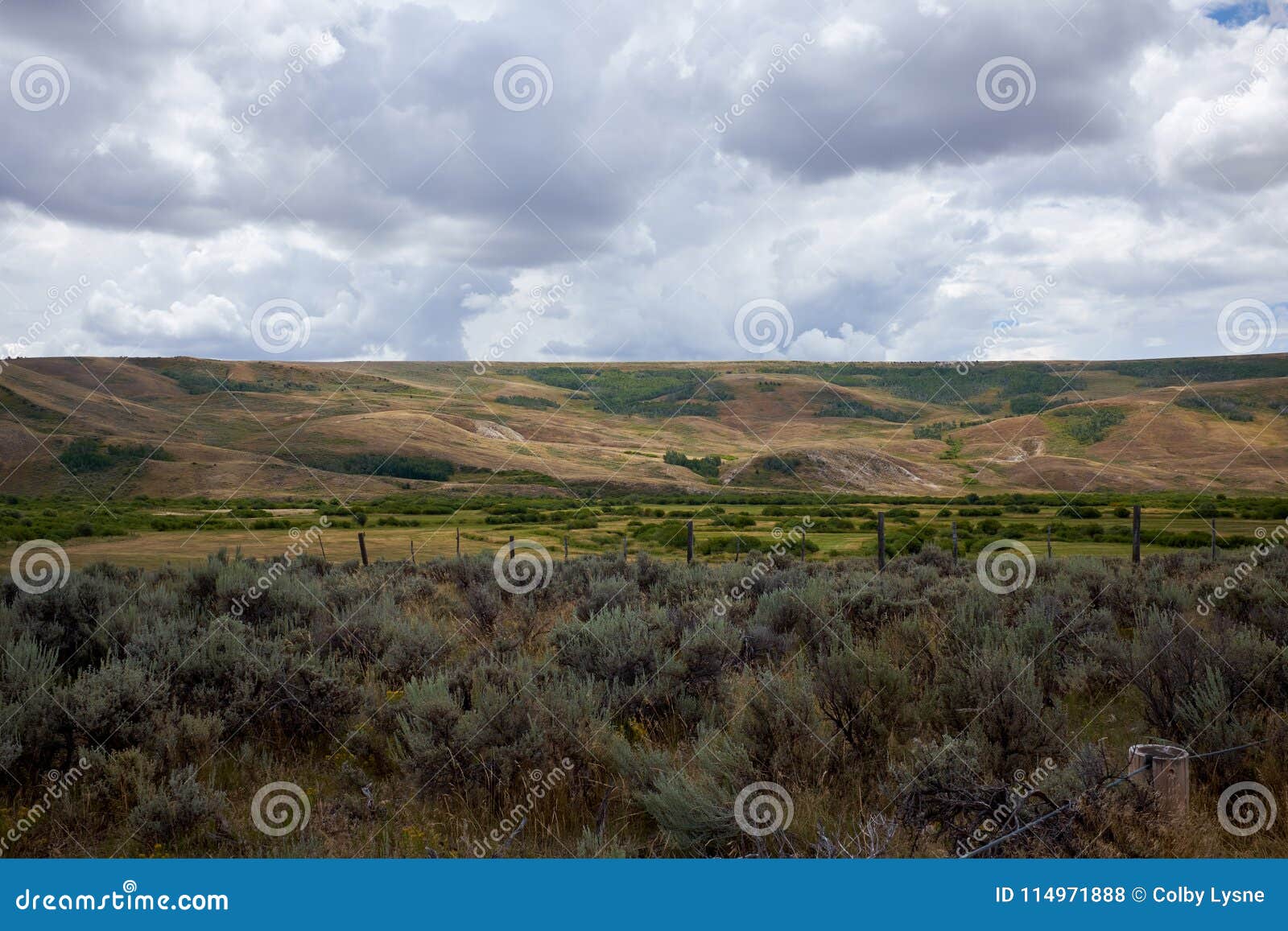 Grey Sky Over a Green River System Landscape Stock Photo - Image of ... Grey Sky Over a Green River System Landscape Stock Photo - Image of ...