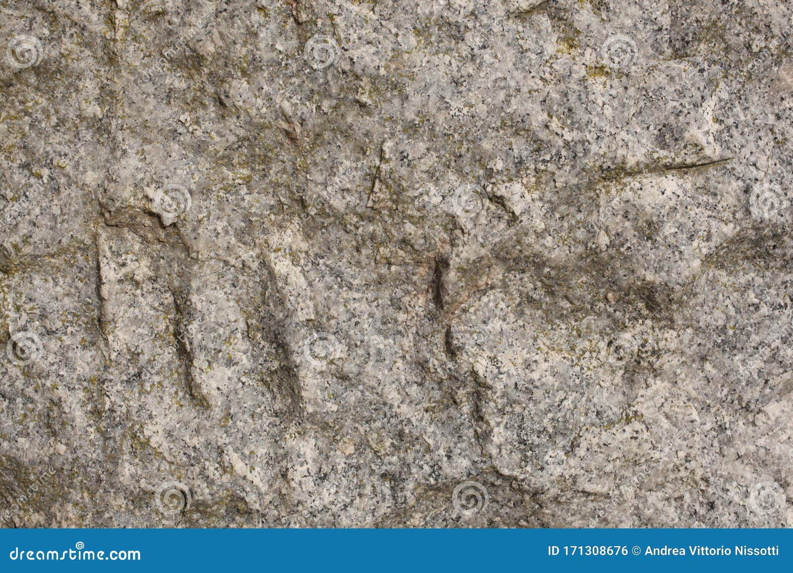 Grey Slate Granite Background Texture with Copy Space for Your Text ...