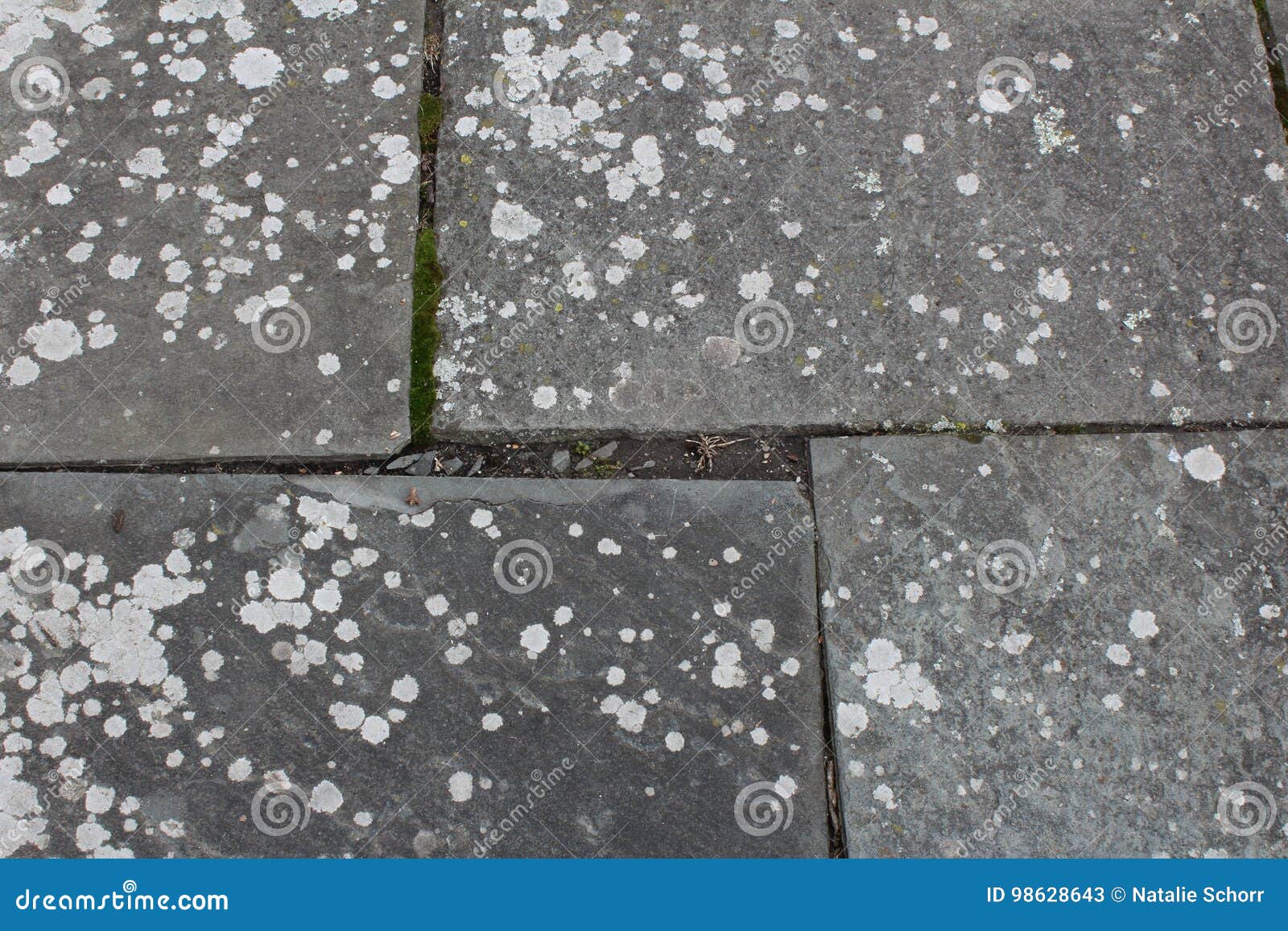 Slate, Moss And Plaster Royalty-Free Stock Photography | CartoonDealer ...