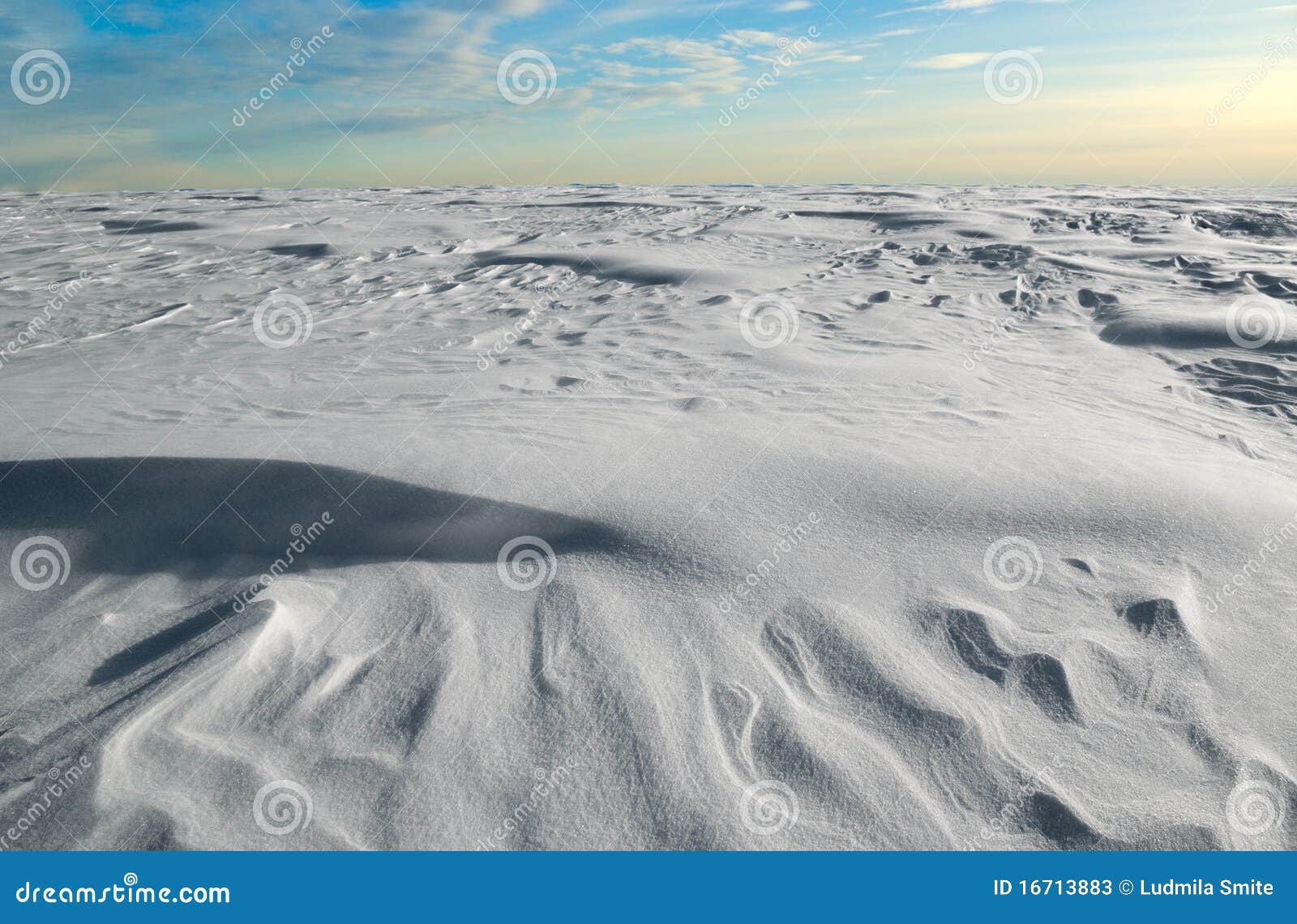 Grey snow. stock image. Image of white, cold, tree, light - 16713883