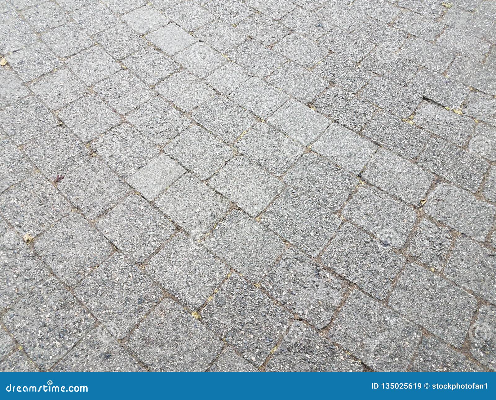 Grey Square Stone Tiles on the Floor Stock Image - Image of ...