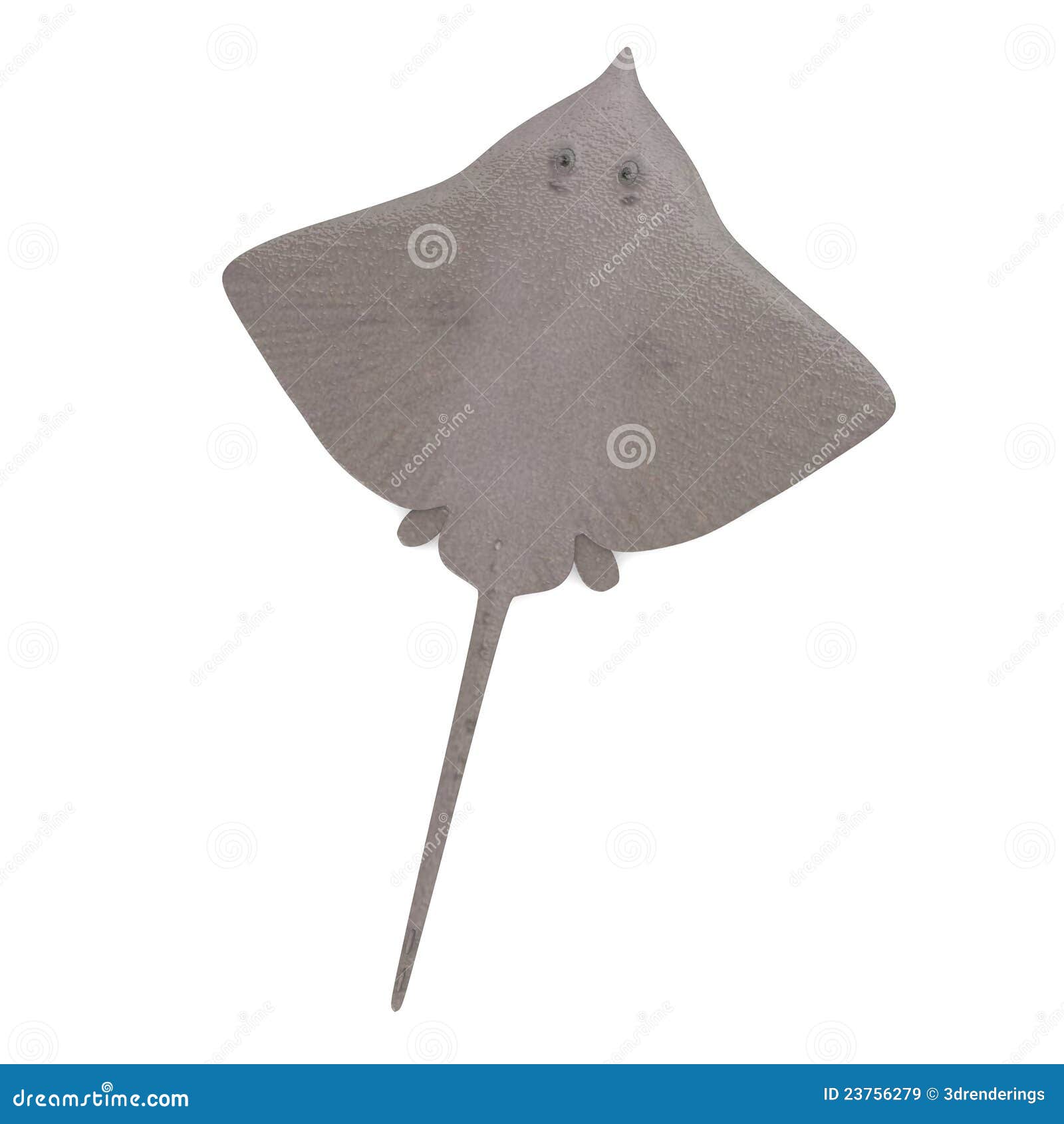 Batis Cartoons, Illustrations & Vector Stock Images - 11 Pictures to ...