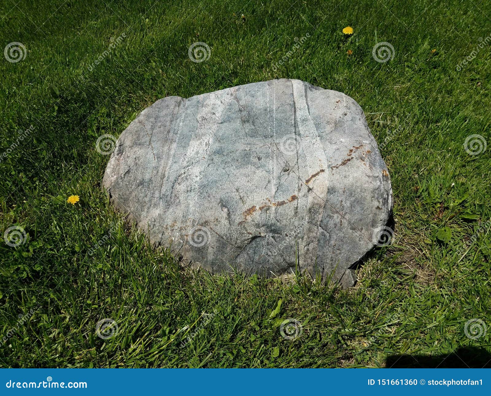 Grey Stone or Boulder in Green Grass or Lawn Stock Photo - Image of ...