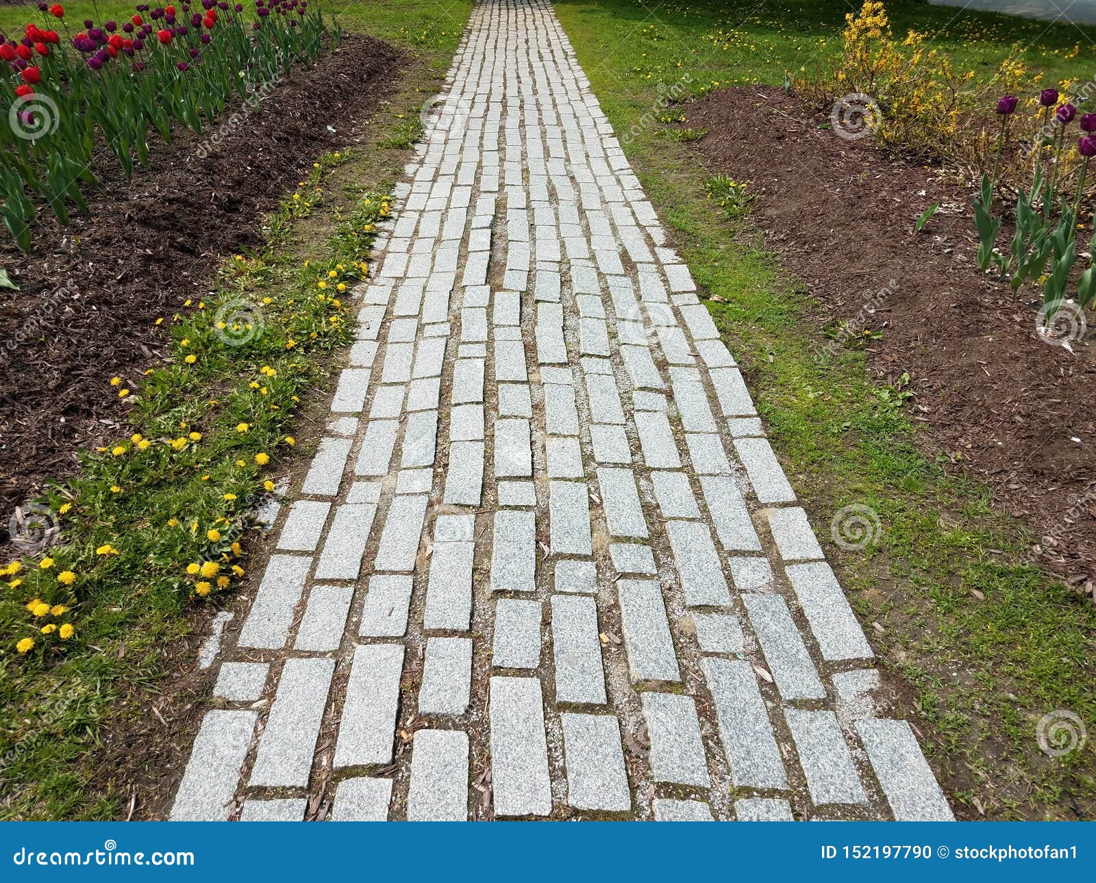 Grey Stone Brick Path or Trail in Grass and Garden Stock Photo - Image ...