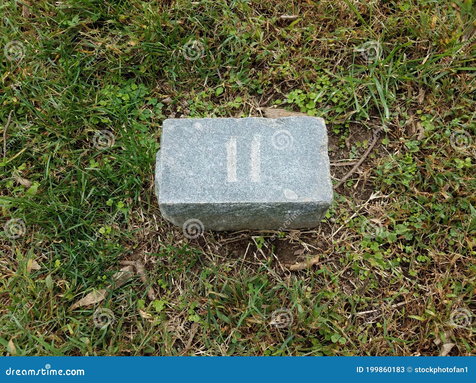 Grey Stone with Number Eleven in Grass Stock Image - Image of carved ...