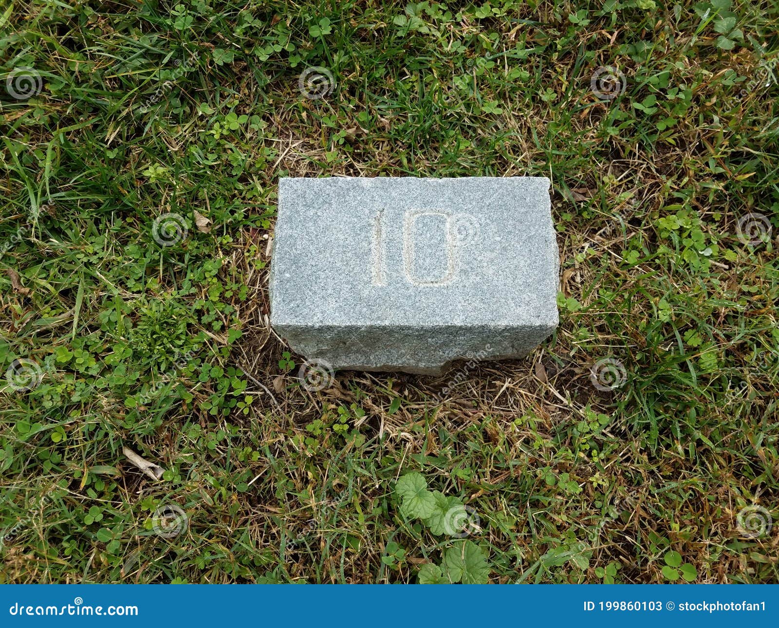 Grey Stone with Number Ten in Grass Stock Image - Image of numbering ...