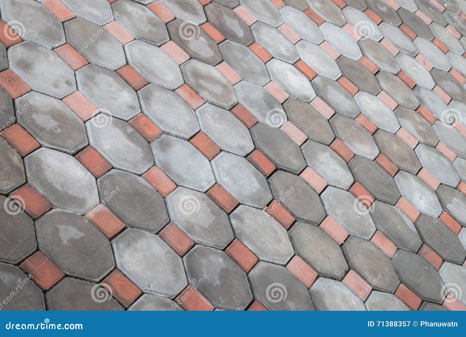 Grey stone path of walkway stock image. Image of grassy - 71388357