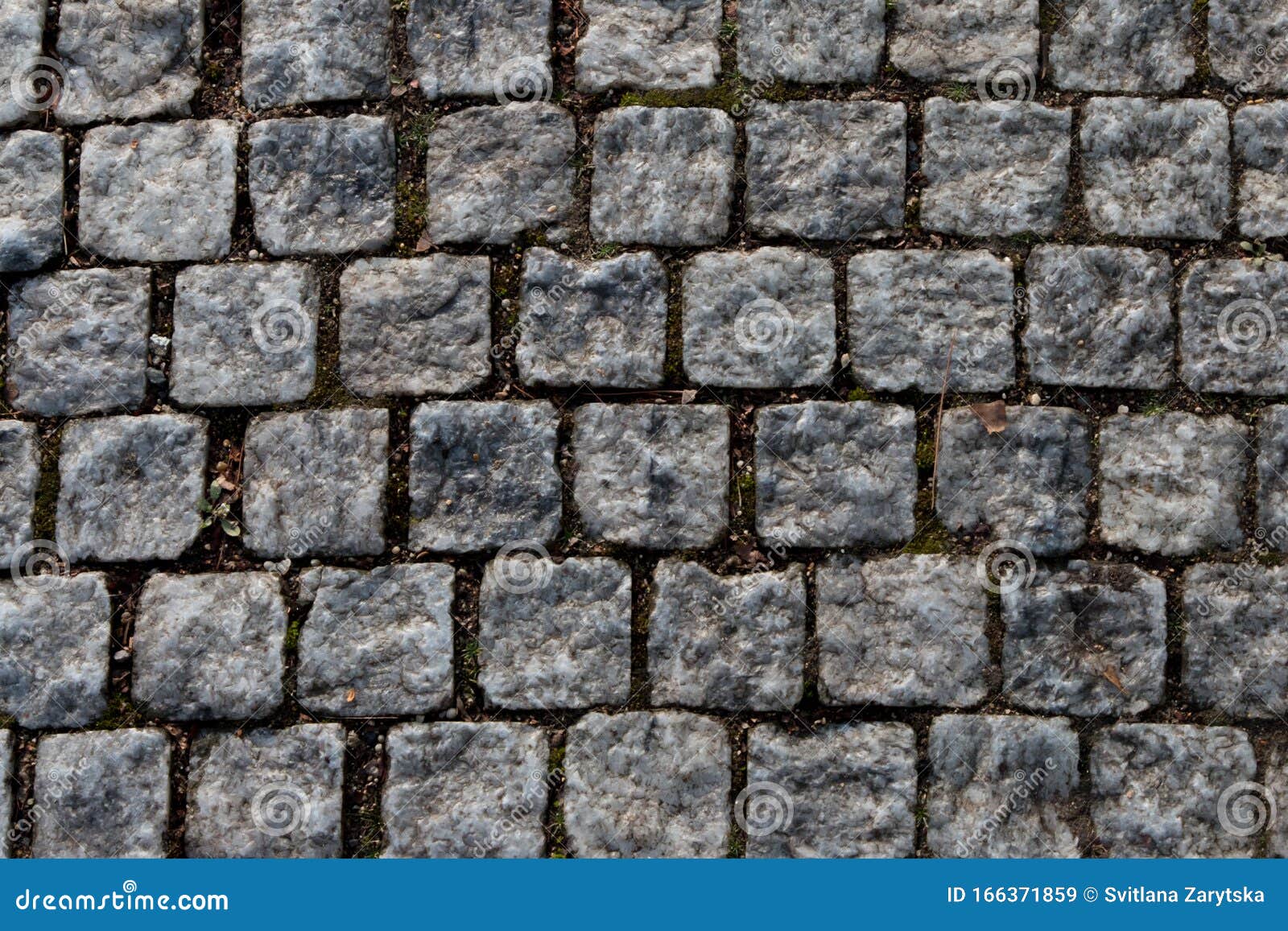 The Grey Stone Square Pavers Background Stock Image - Image of ...