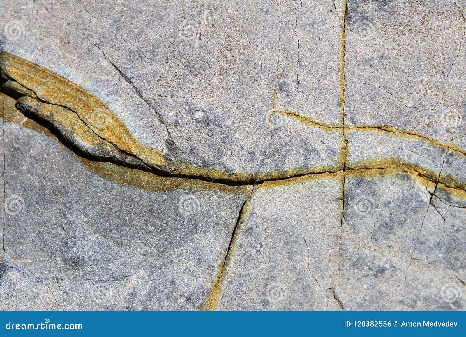 Grey Stone Surface Texture with Cracks and Erosion. Sea Limestone ...