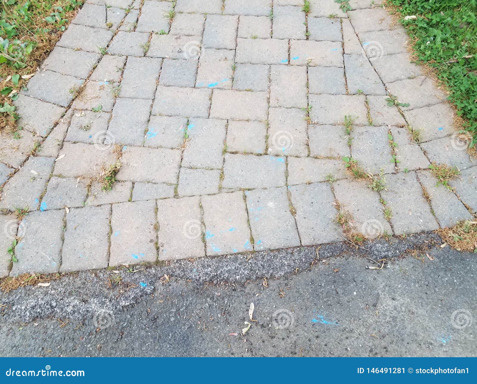 Grey Stone Tiles on Path with Blue Marks and Asphalt Stock Image ...