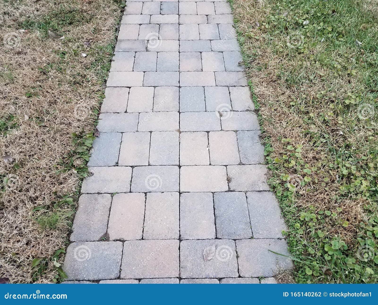 Grey Stone Tiles Path with Brown and Green Grass Stock Photo - Image of ...