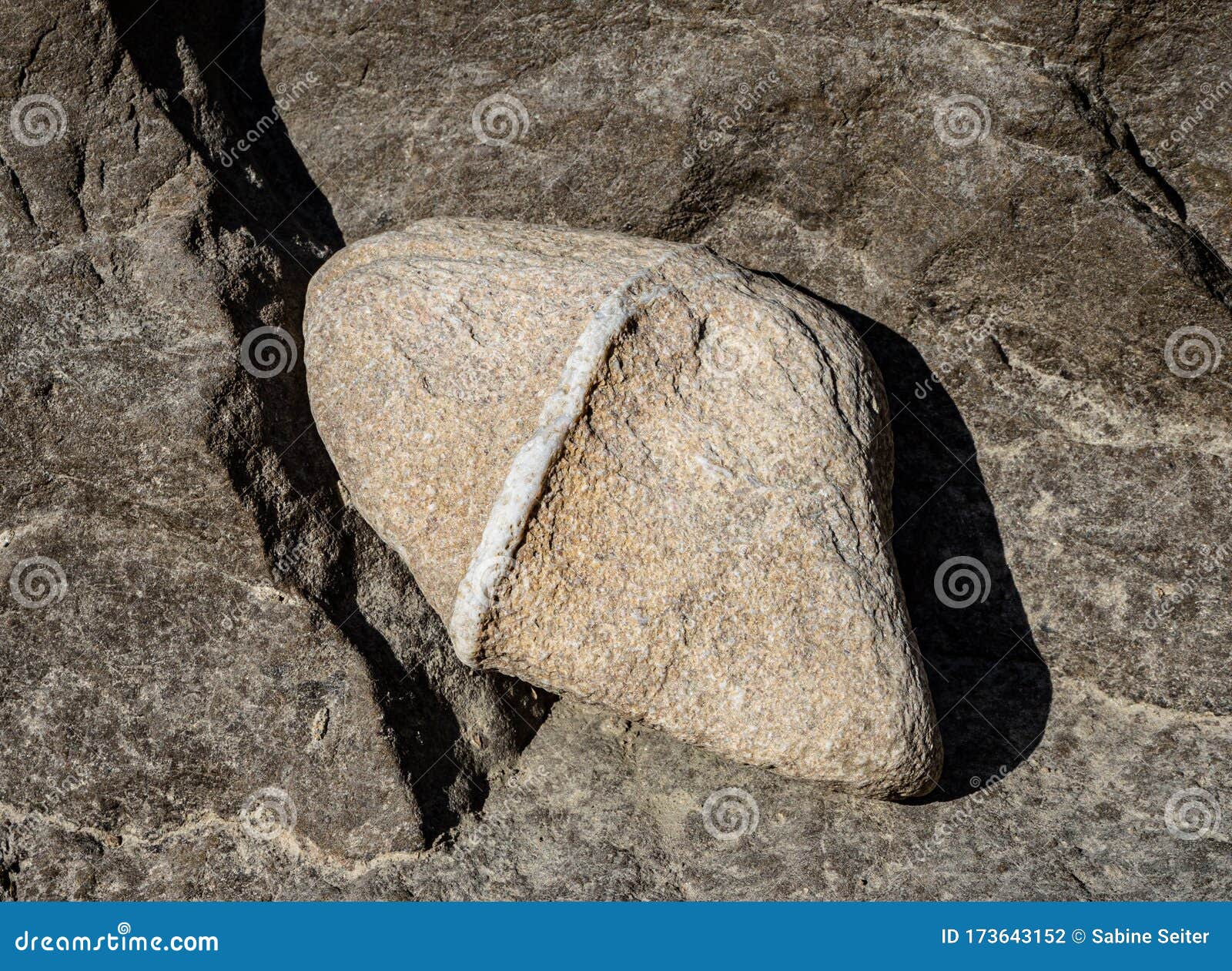 A Grey Stone with a White Band on Ground Stock Photo - Image of green ...
