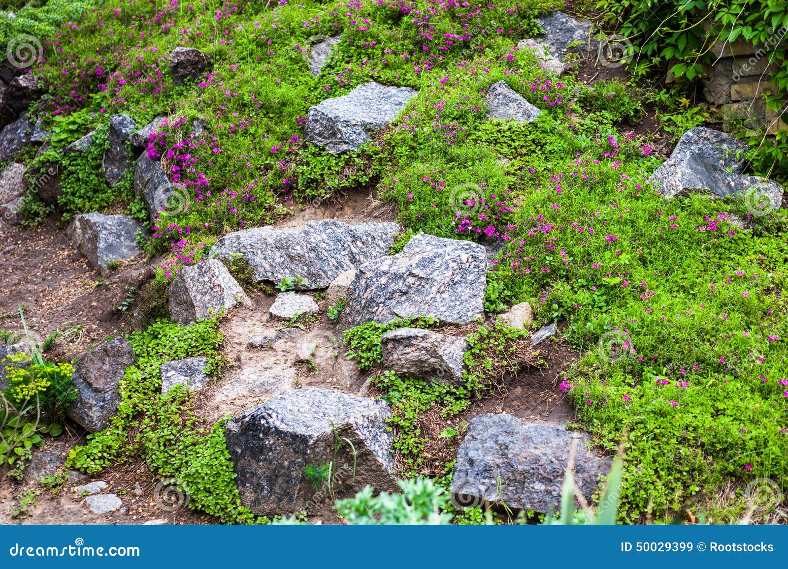 Grey Stones in the Green Garden Stock Image - Image of nature, bush ...