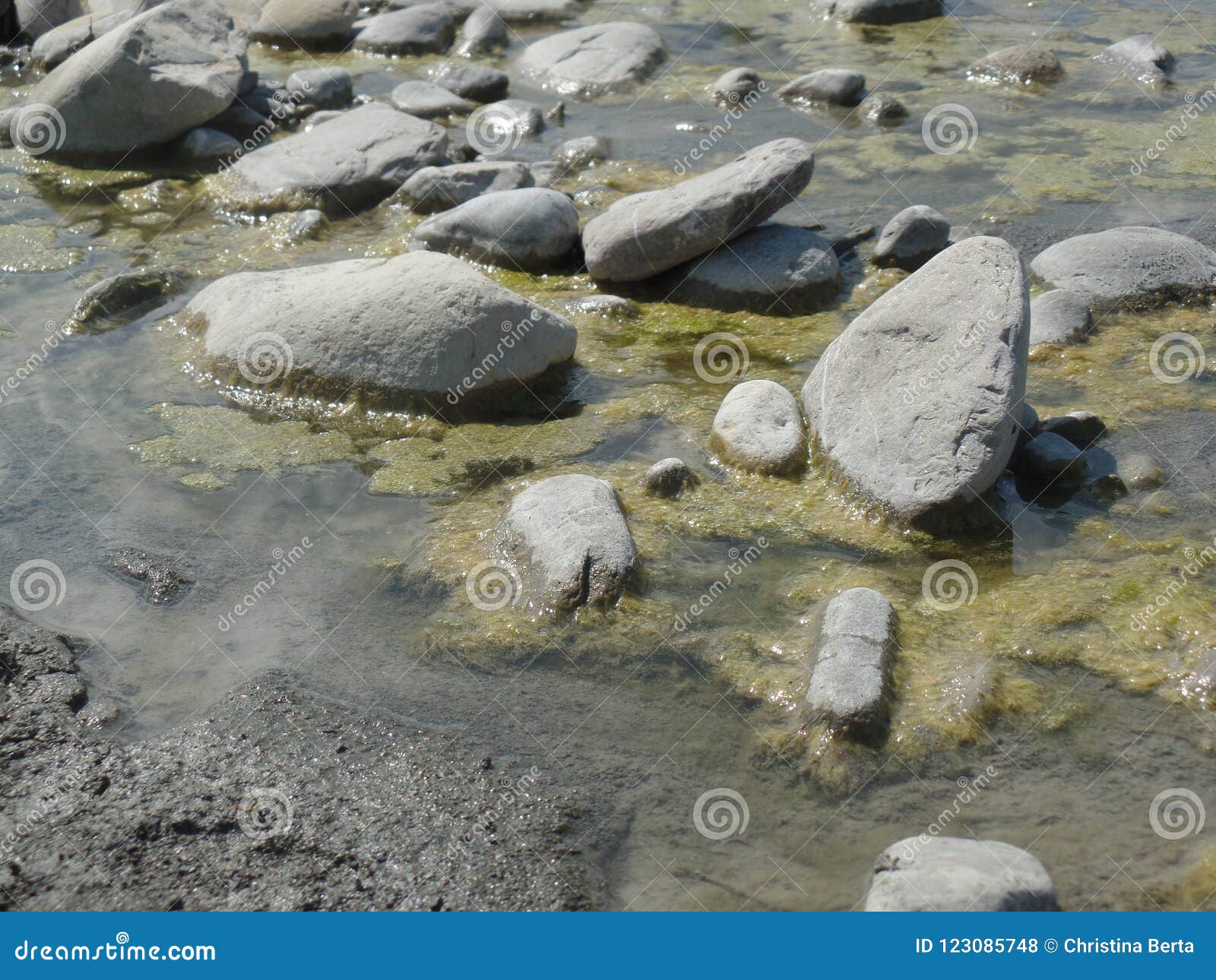 Grey stones on the river stock photo. Image of grey - 123085748