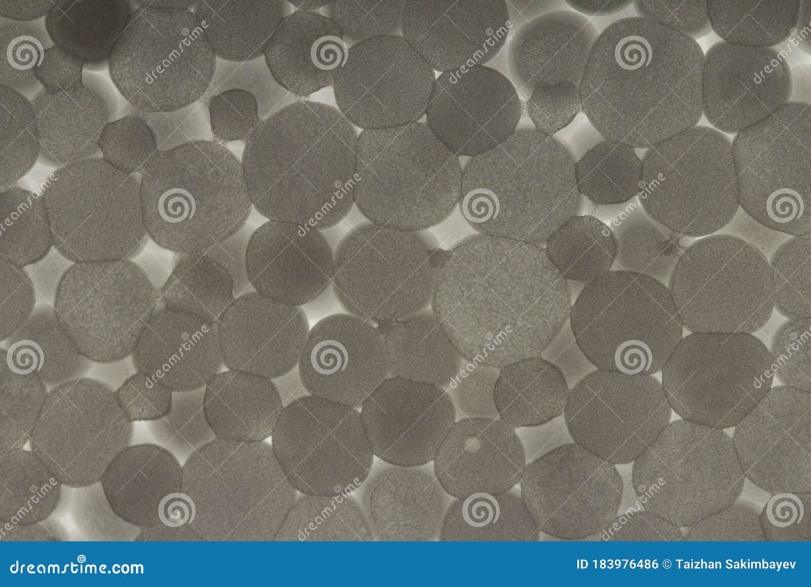 Grey Styrofoam Background Texture Closeup . Macro Shot Stock Photo ...