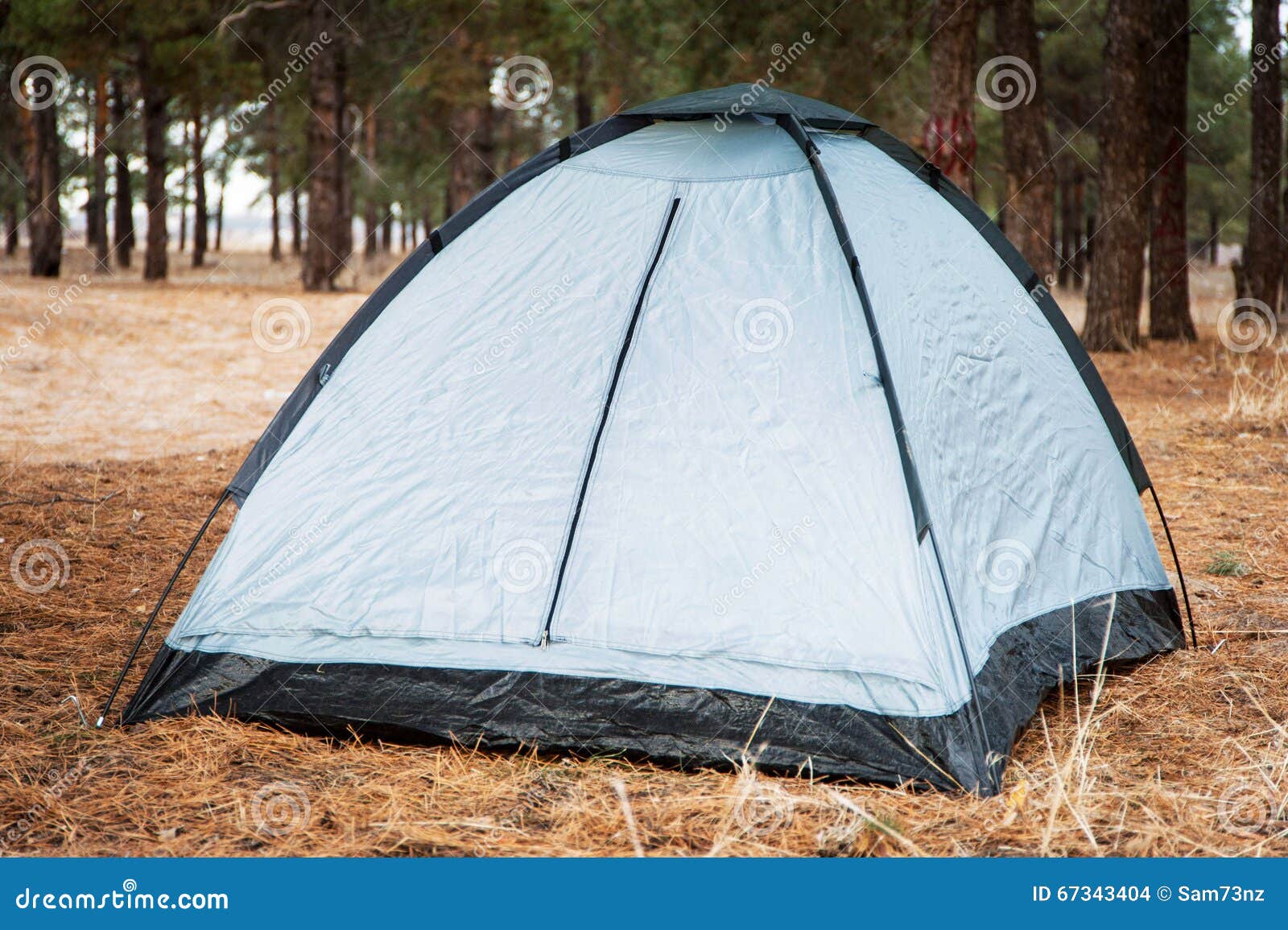 Grey tent in the pine wood stock photo. Image of equipment - 67343404