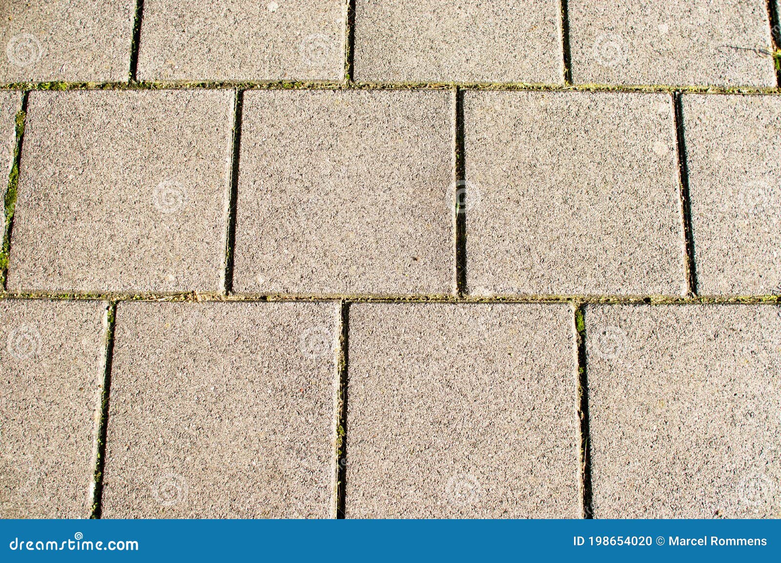 Grey tile pattern texture stock photo. Image of abstract - 198654020