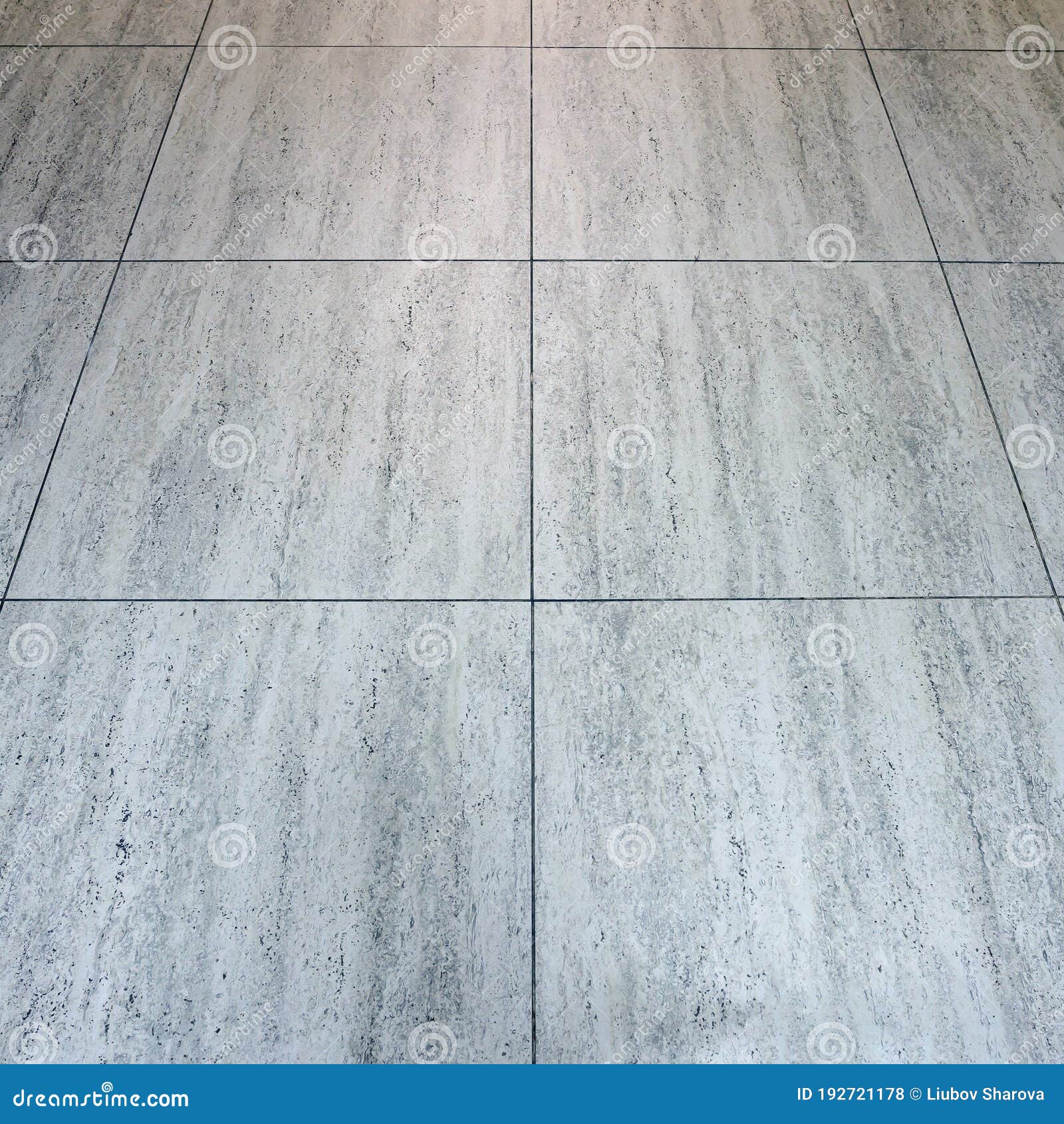 Grey Tiled Floor in a Clean Condition with Grid Lines for the ...