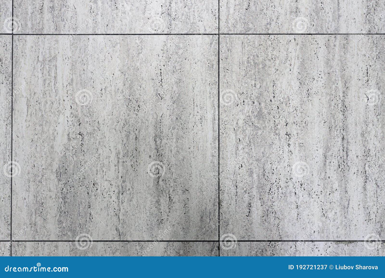 Grey Tiled Floor in a Clean Condition with Grid Lines for the ...