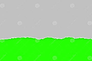 Grey Torn Paper Effect on Chroma Key Green Screen Stock Illustration ...