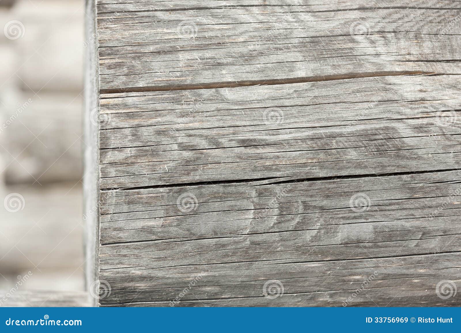 Grey tree trunk background stock image. Image of wood - 33756969