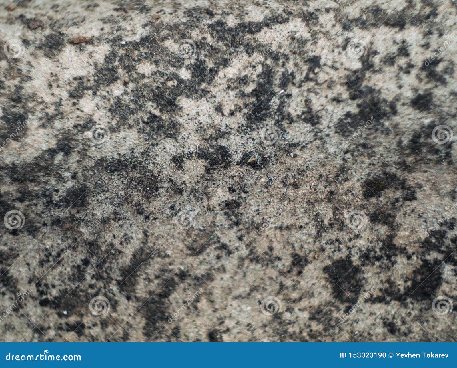 Grey Wall Made of Marble Aggregate with Small Crumbs, Close Up View ...