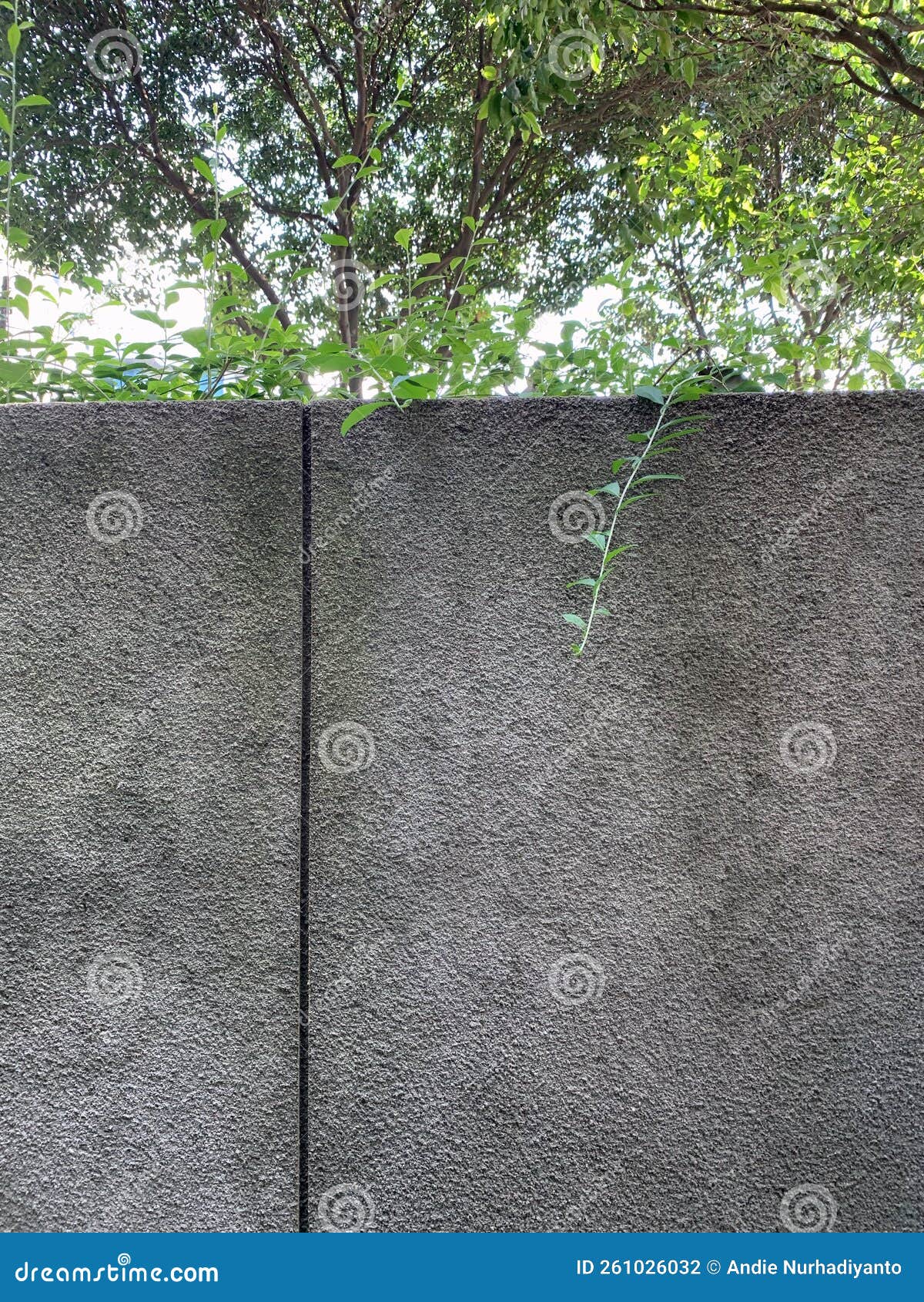 The Grey Wall of Rought Cement Stock Photo - Image of line, abstract ...