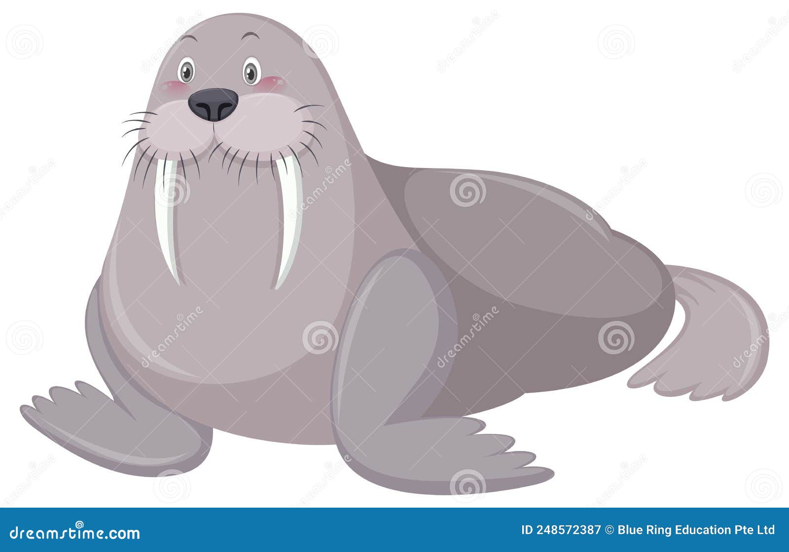 A Grey Walrus in Cartoon Style Stock Vector - Illustration of living ...