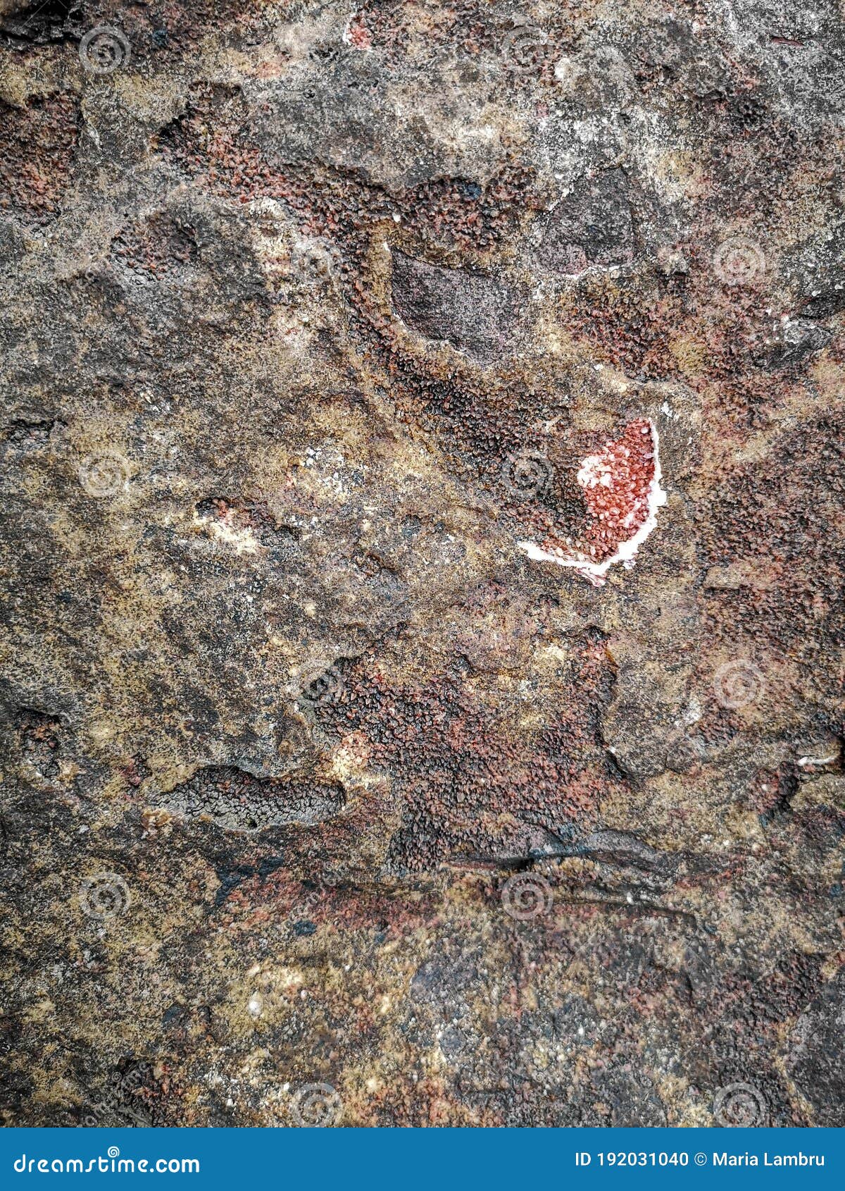 Grey, White and Brown Rock Background Stock Photo - Image of concretion ...