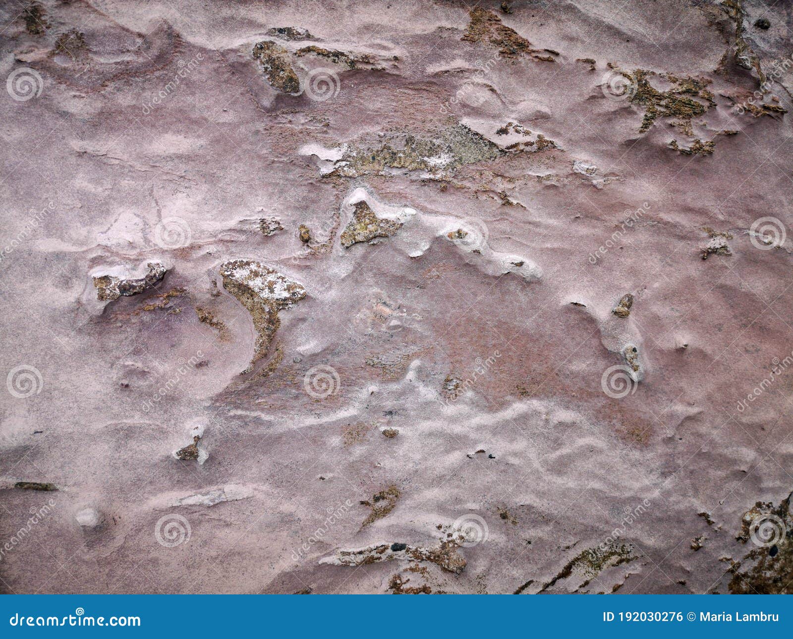 Grey, White and Pinkish Rock Background Stock Photo - Image of grey ...