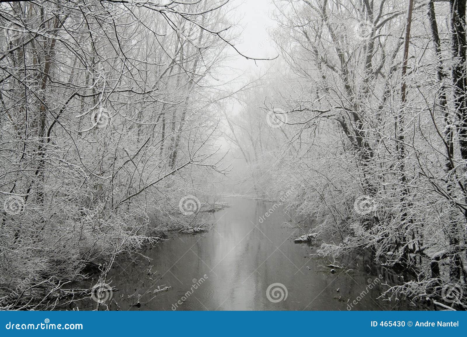Grey Winter stock photo. Image of hiking, canada, trees - 465430