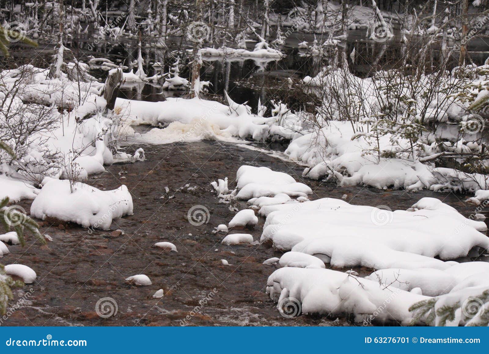 Grey,Winters,scene,of a Swamp Stock Image - Image of dead, running ...