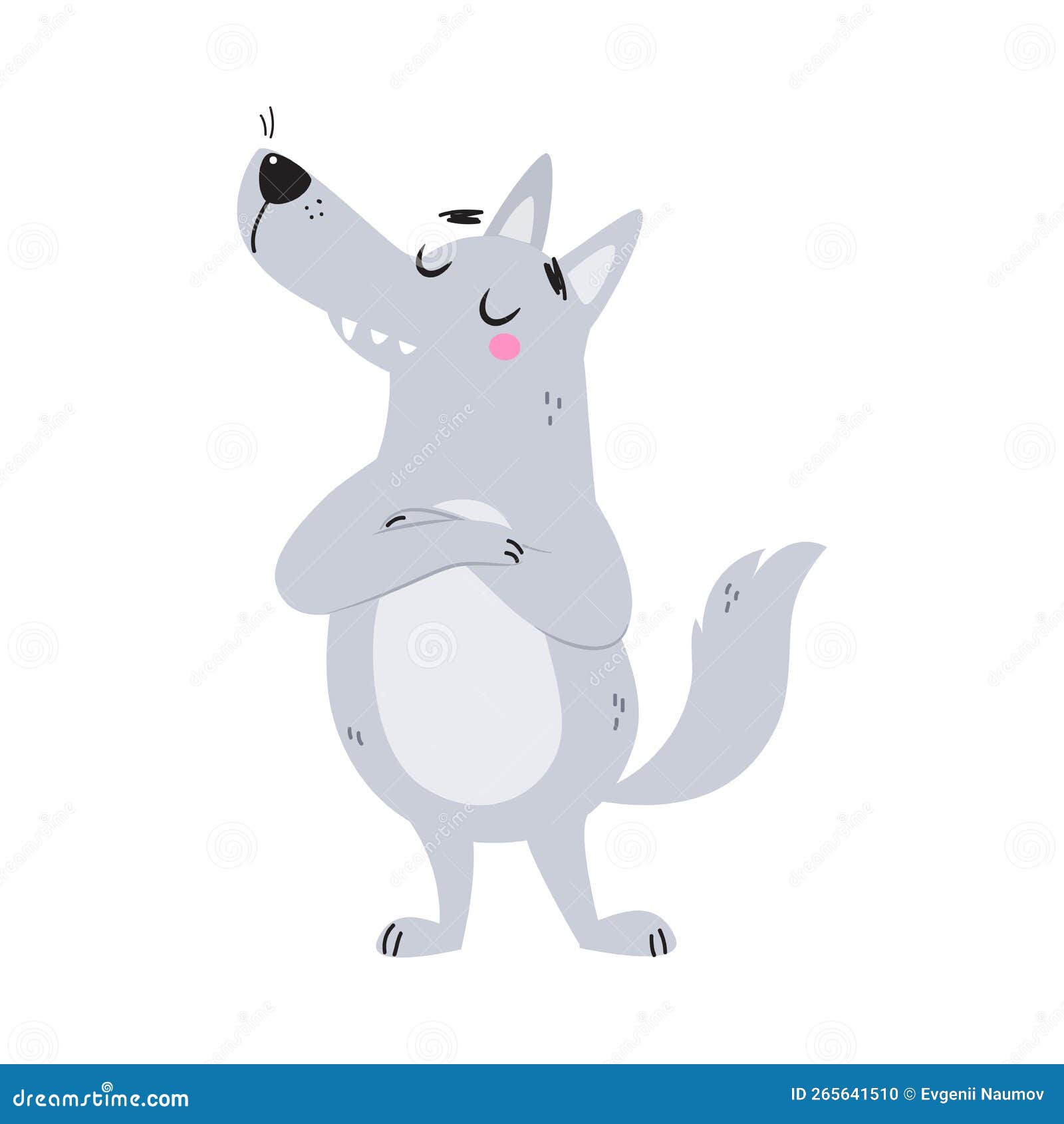 Grey Wolf Character with Pointed Muzzle Standing with Grumpy Face ...