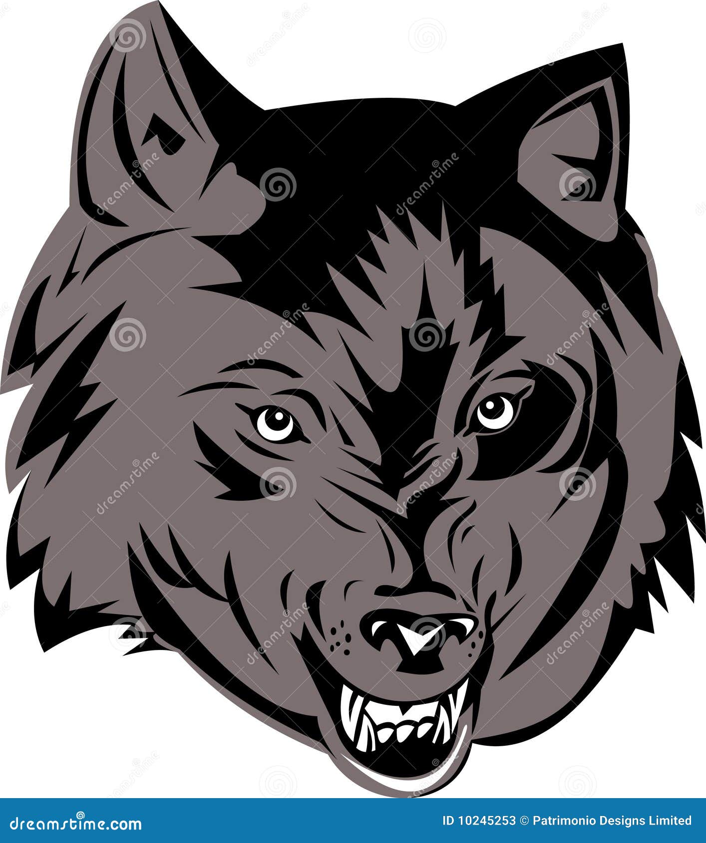 Grey wolf snarling stock vector. Illustration of animal - 10245253