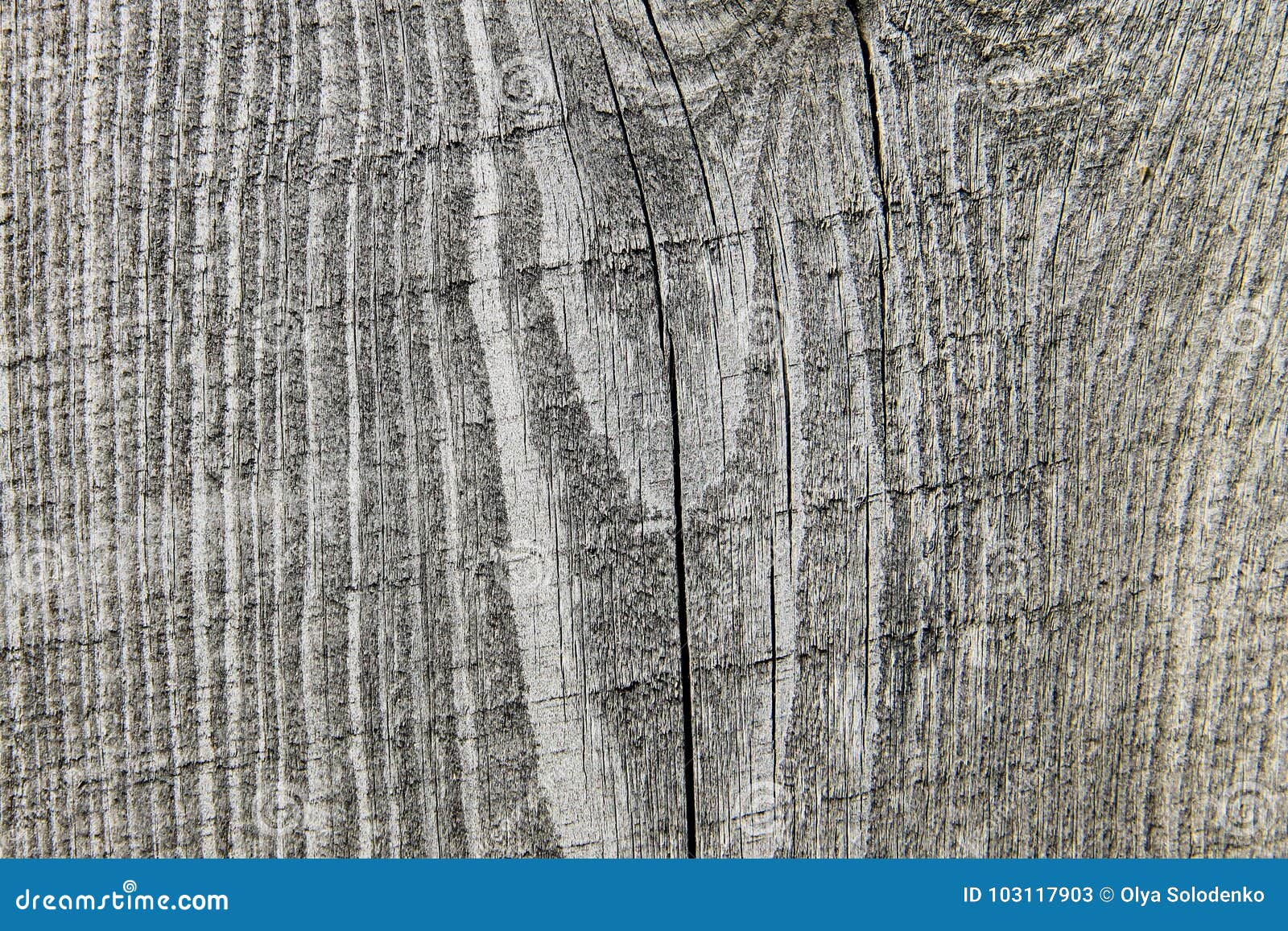 Grey Wood Texture Background Stock Image - Image of grain, natural ...