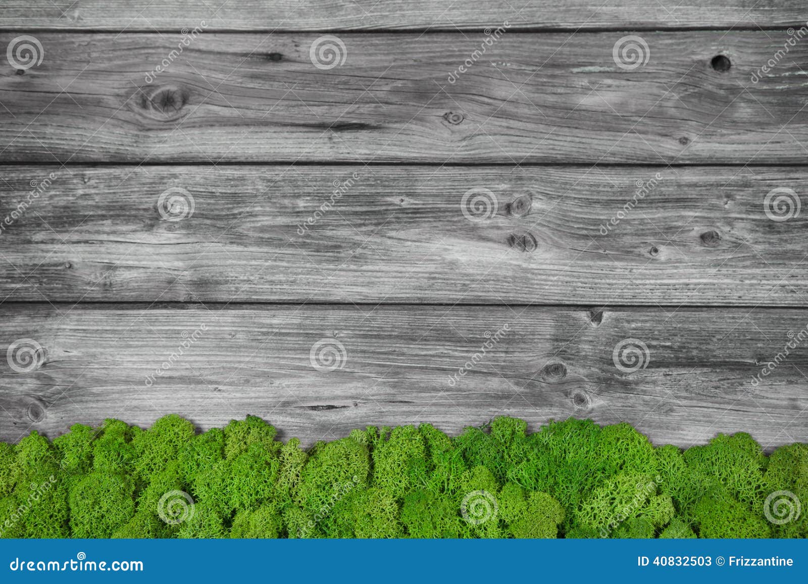 Grey Wooden Background with Green Moos. Stock Image - Image of natural ...