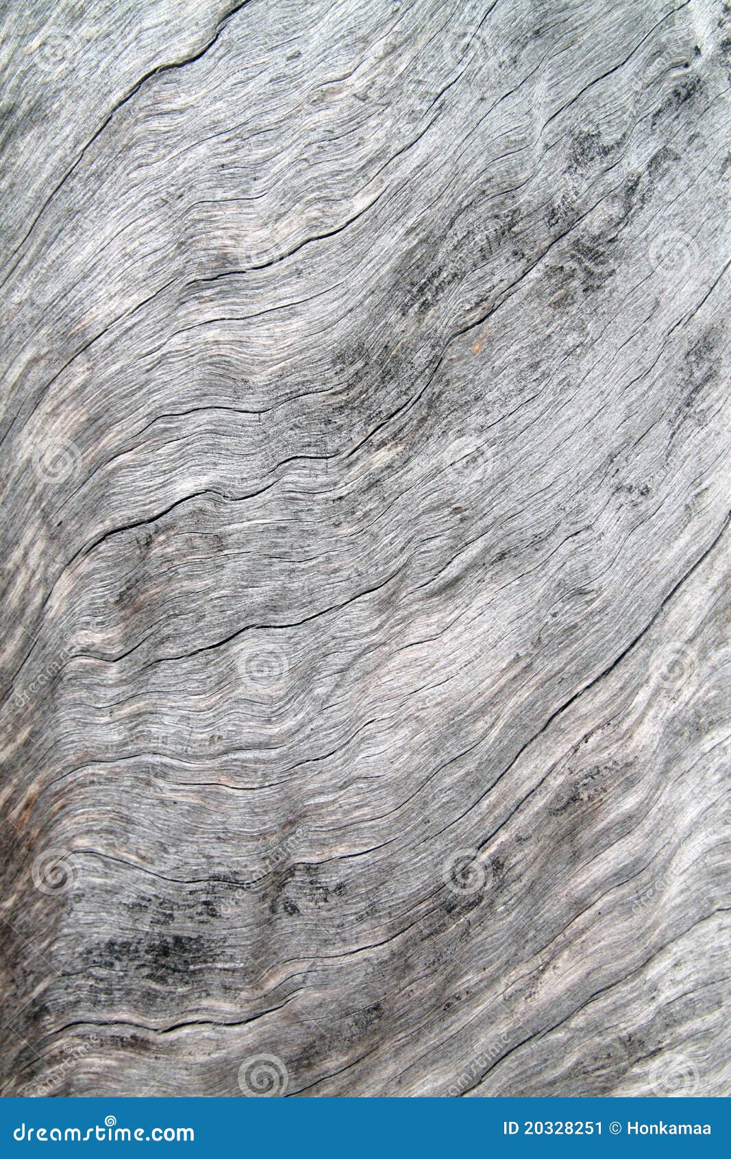 Grey wooden texture stock image. Image of weatherbeaten - 20328251