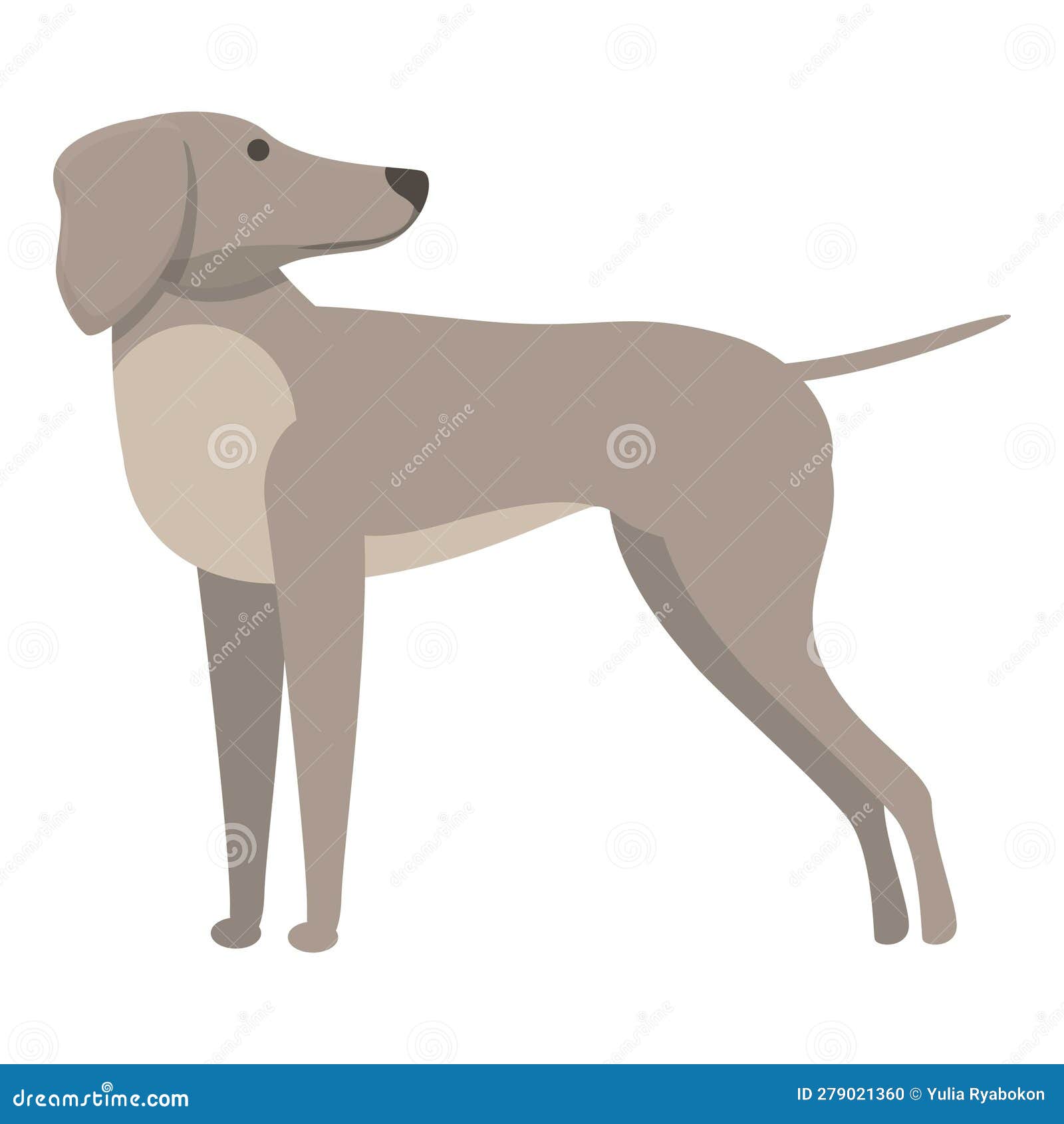 Greyhound Dog Icon. Trendy Flat Vector Greyhound Dog Icon On White Background From Dogs ...