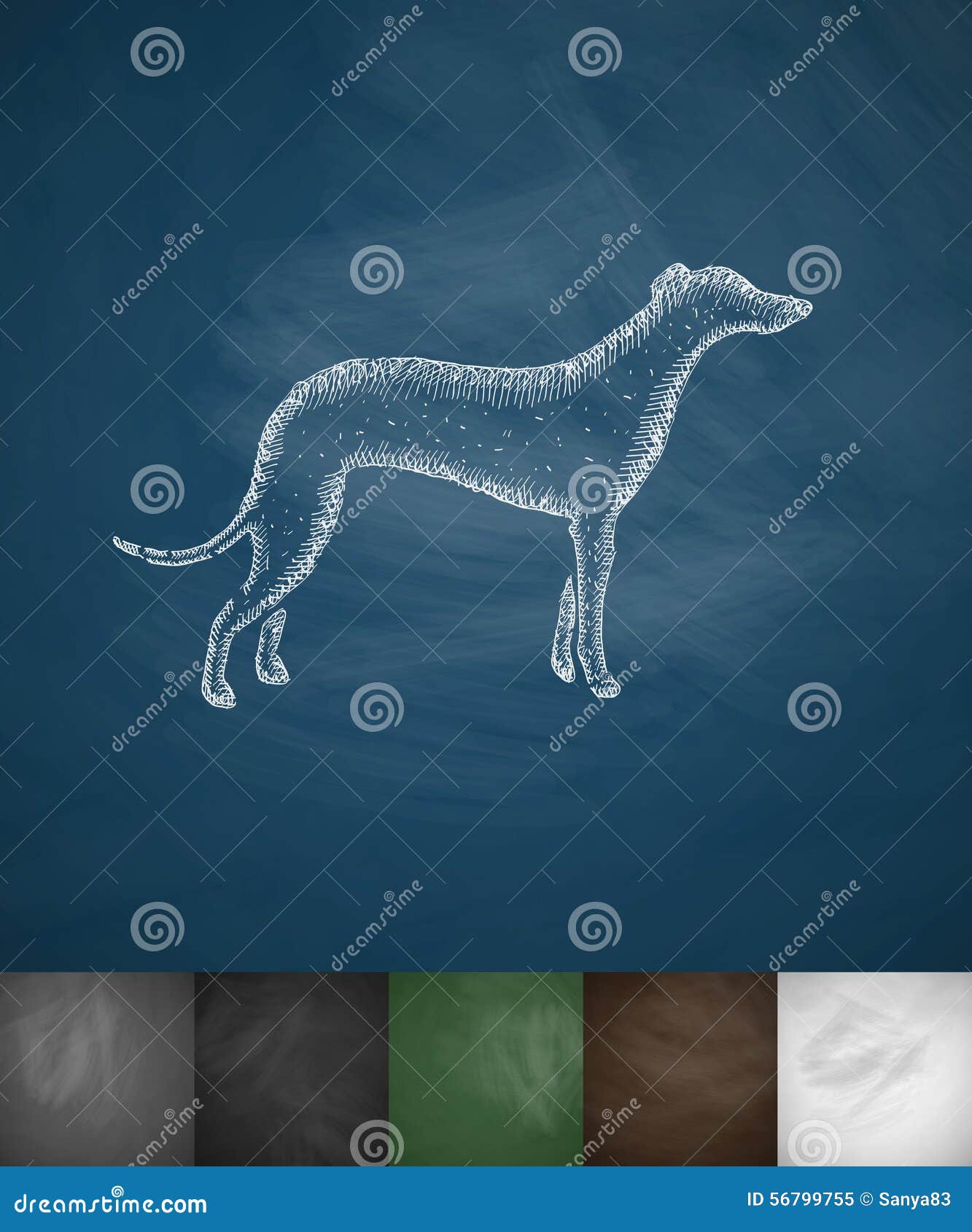 Greyhound icon stock vector. Illustration of origin, breed - 56799755