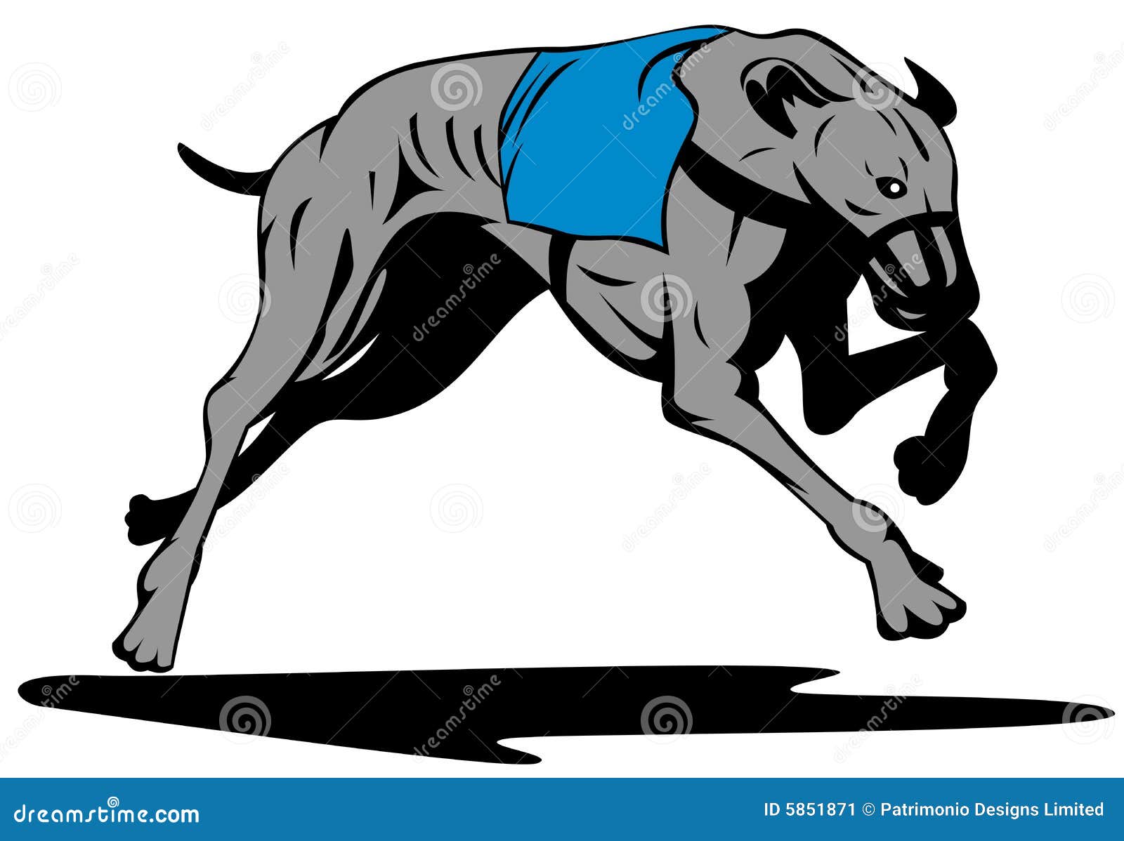 Greyhound racing stock vector. Illustration of isolated - 5851871