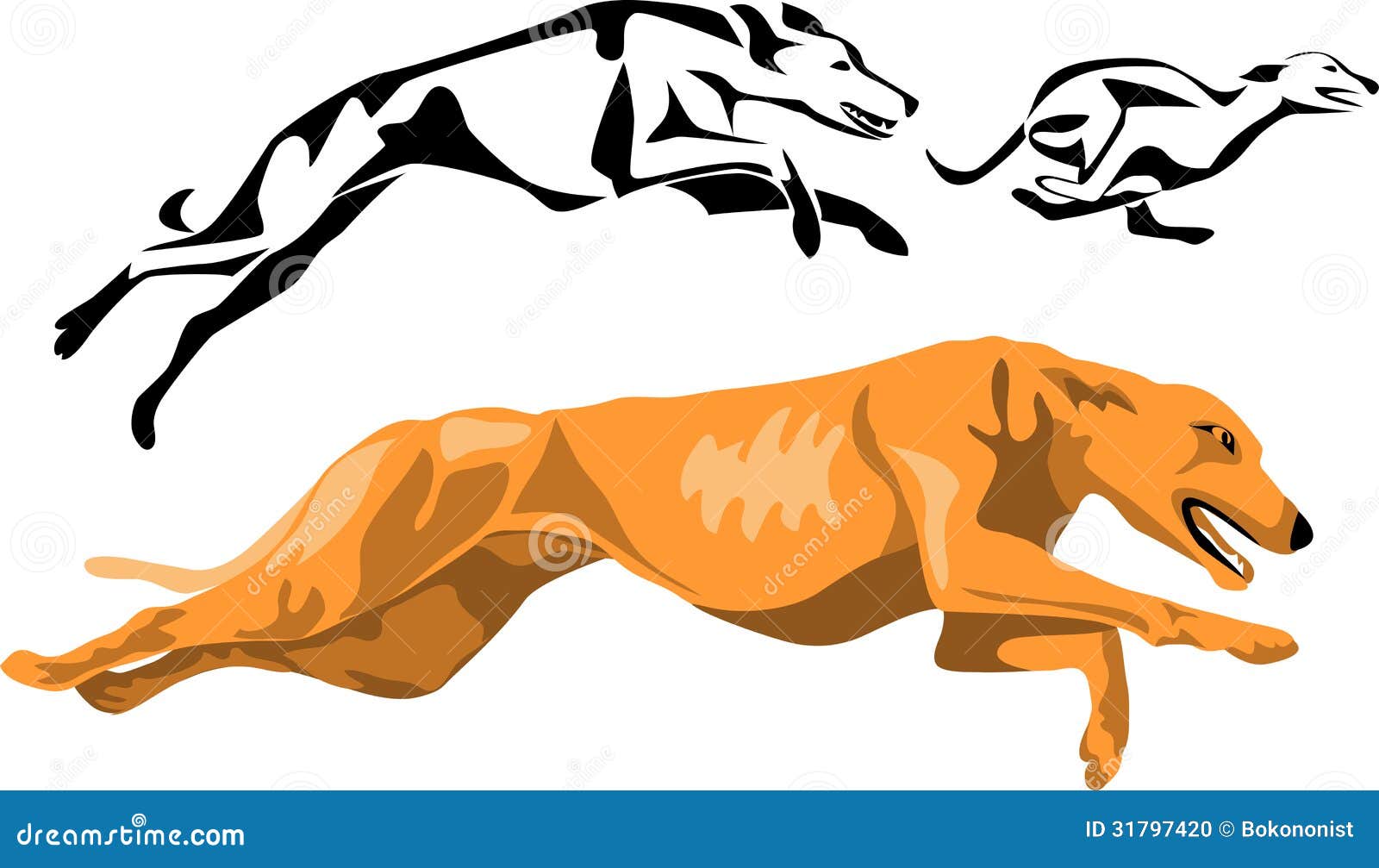 Greyhound Vector Illustration | CartoonDealer.com #31797420