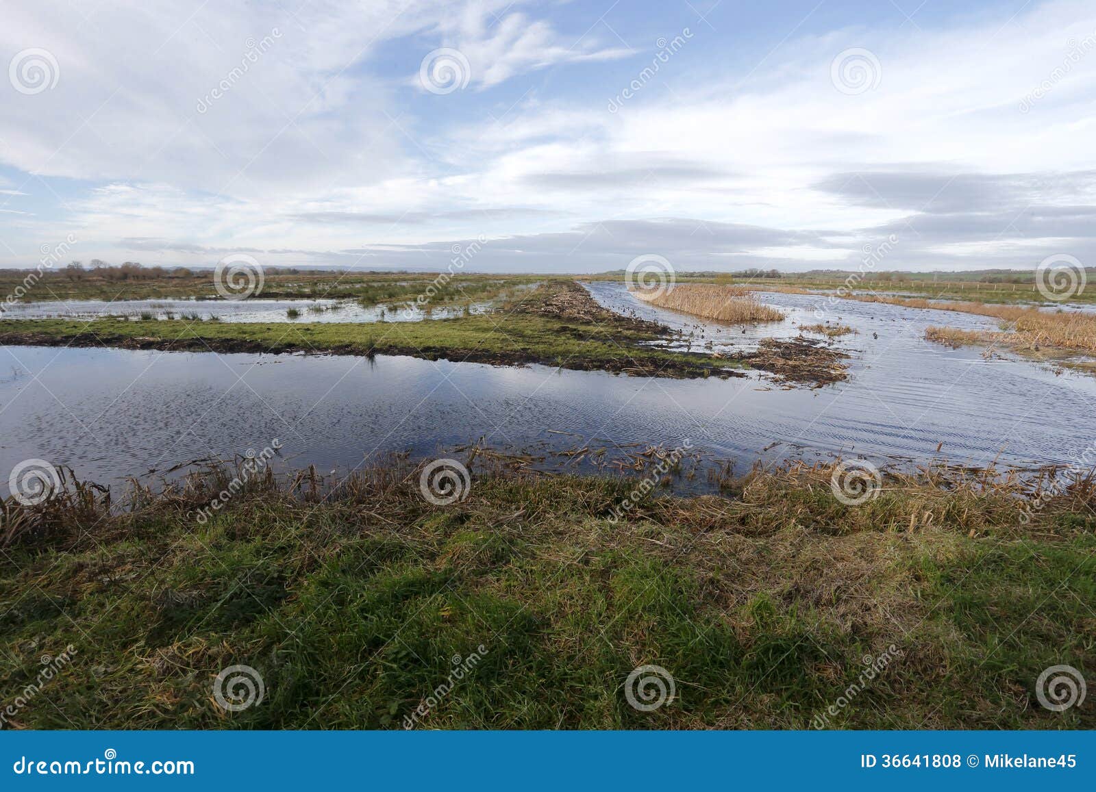 Greylake RSPB Reserve stock photo. Image of lake, nature - 36641808